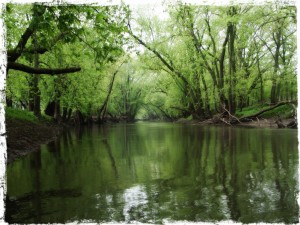 About | Upper Sangamon River Conservancy