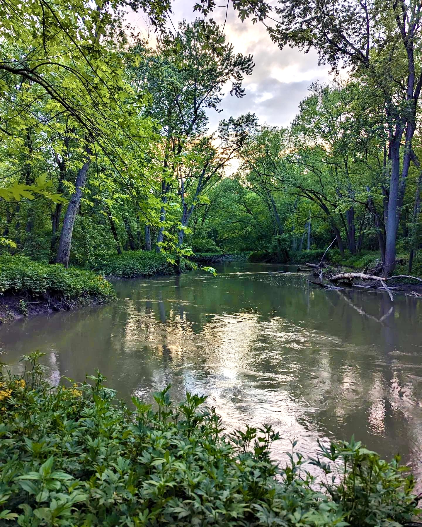 Upper Sangamon River Conservancy