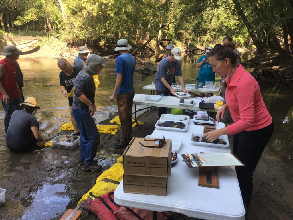 Mussel Survey – River Bend Forest PreserveUpper Sangamon River Conservancy